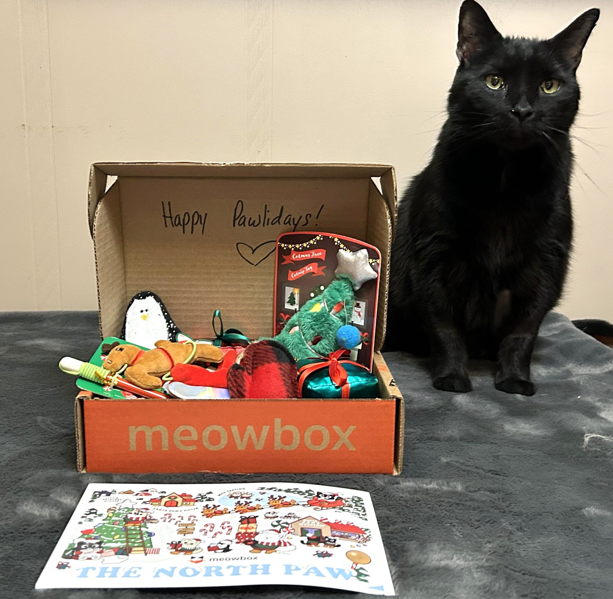 Victoria Pet Adoption Society